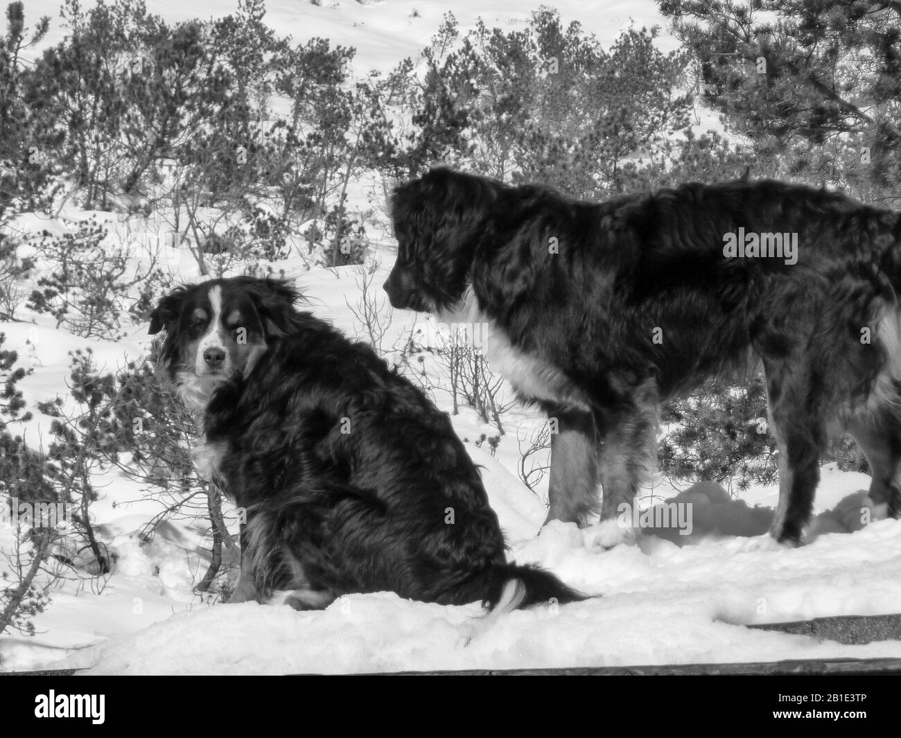 Sun snow vacation Black and White Stock Photos & Images - Alamy