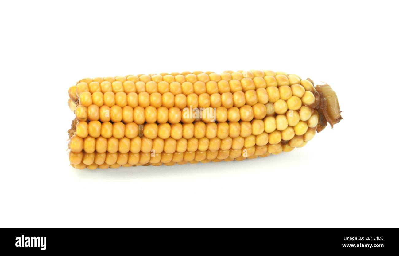 Boiled corn on the cob isolated on white background Stock Photo - Alamy