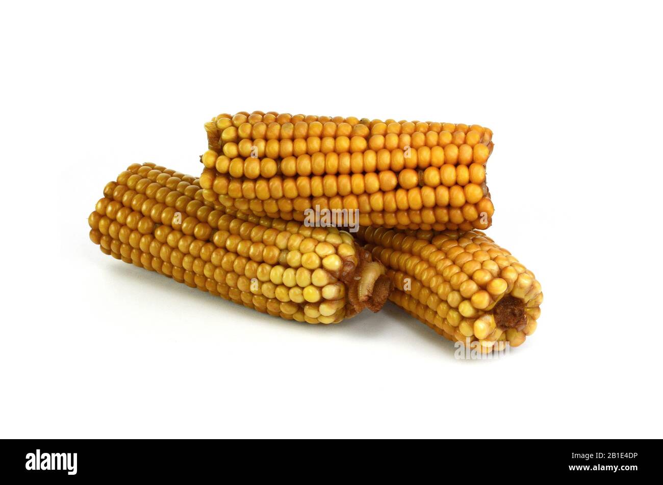 Boiled corn on the cob isolated on white background Stock Photo - Alamy