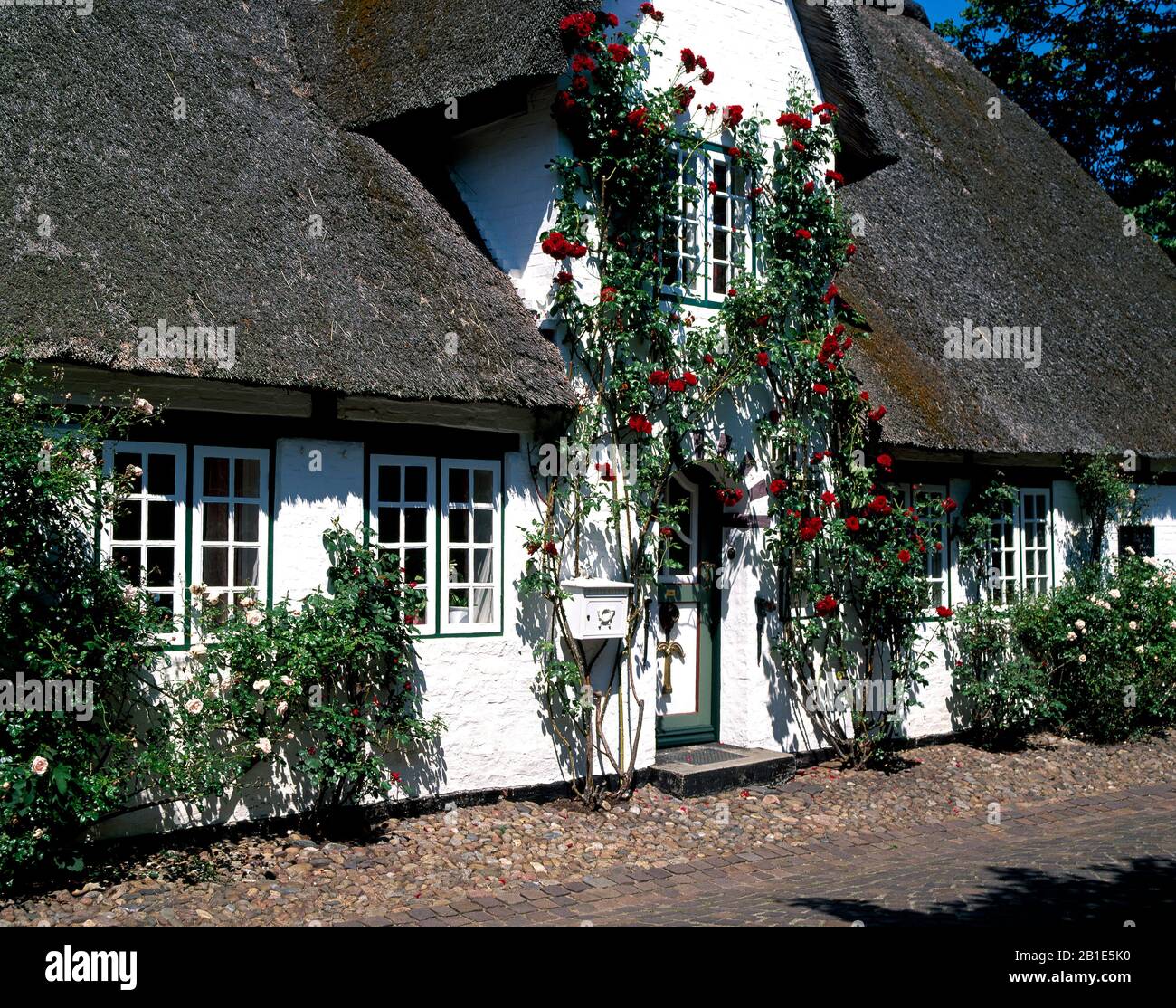 traditional Friesenhaus in Nieblum, Föhr island, North Sea, Schleswig ...