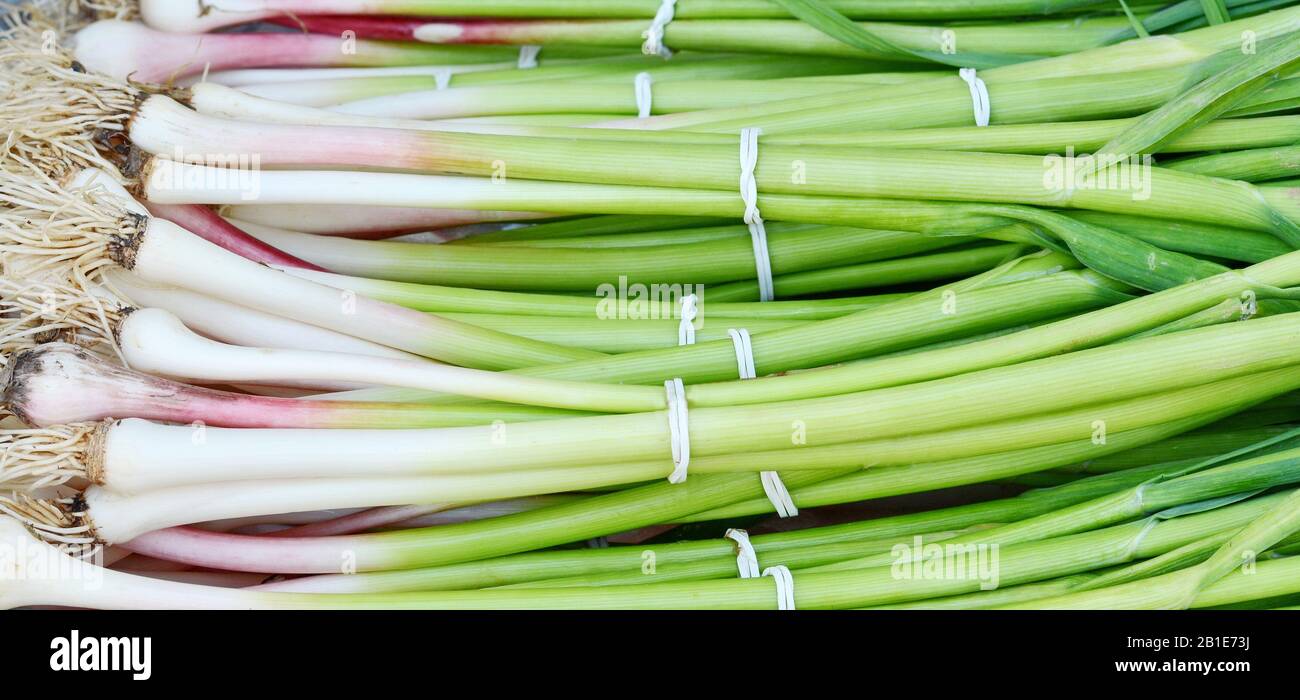 Stand lobe hi-res stock photography and images - Alamy