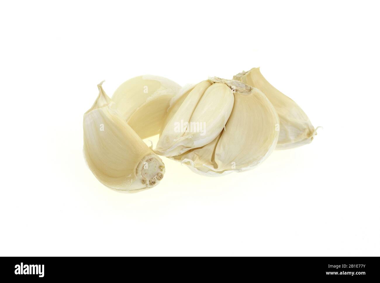 Fresh garlic or Allium sativum, Spices ingredient for cooking, Isolated ...