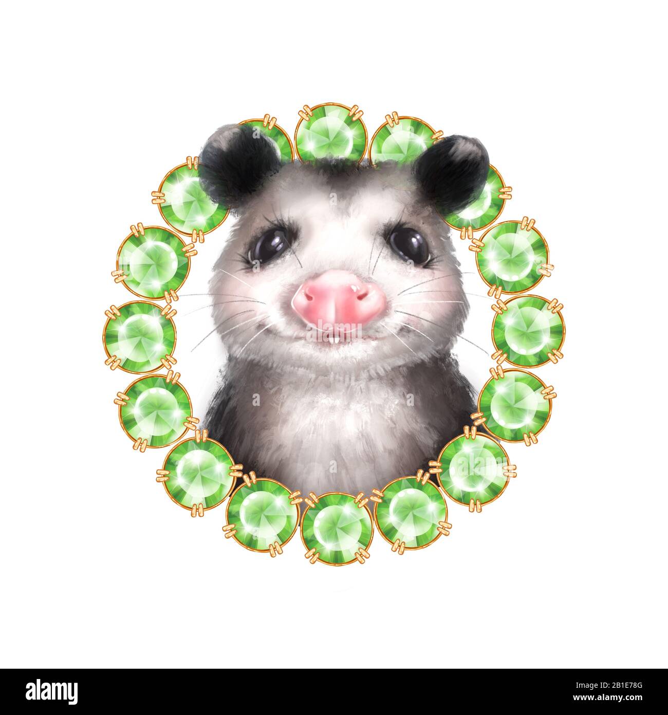 Opossum fur fashion Cut Out Stock Images & Pictures - Alamy