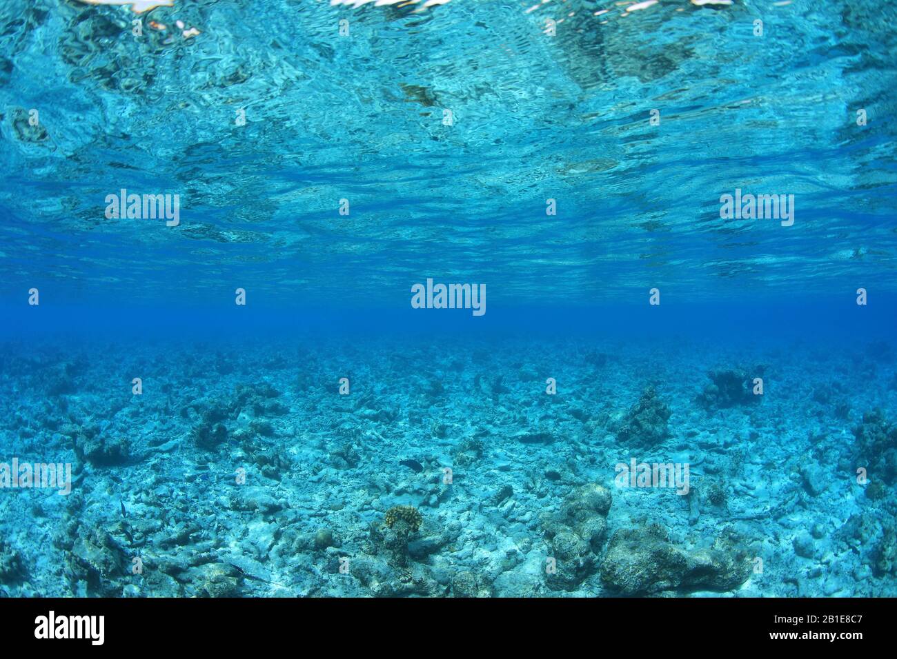 Coral reef destroyed by the coral bleaching in the indian ocean Stock ...
