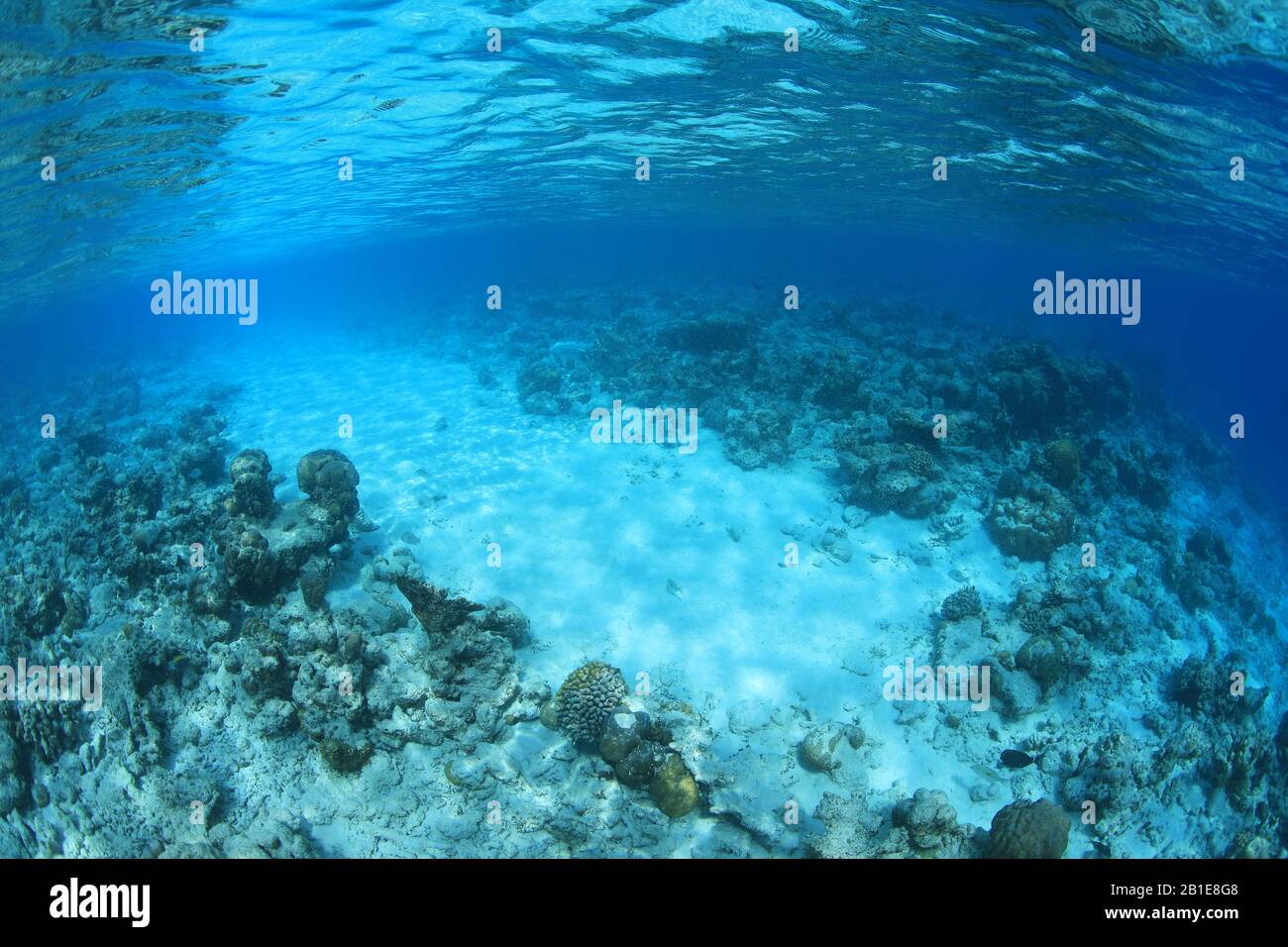 Sandy passage for swimmers and snorkelers through the coral reef of ...