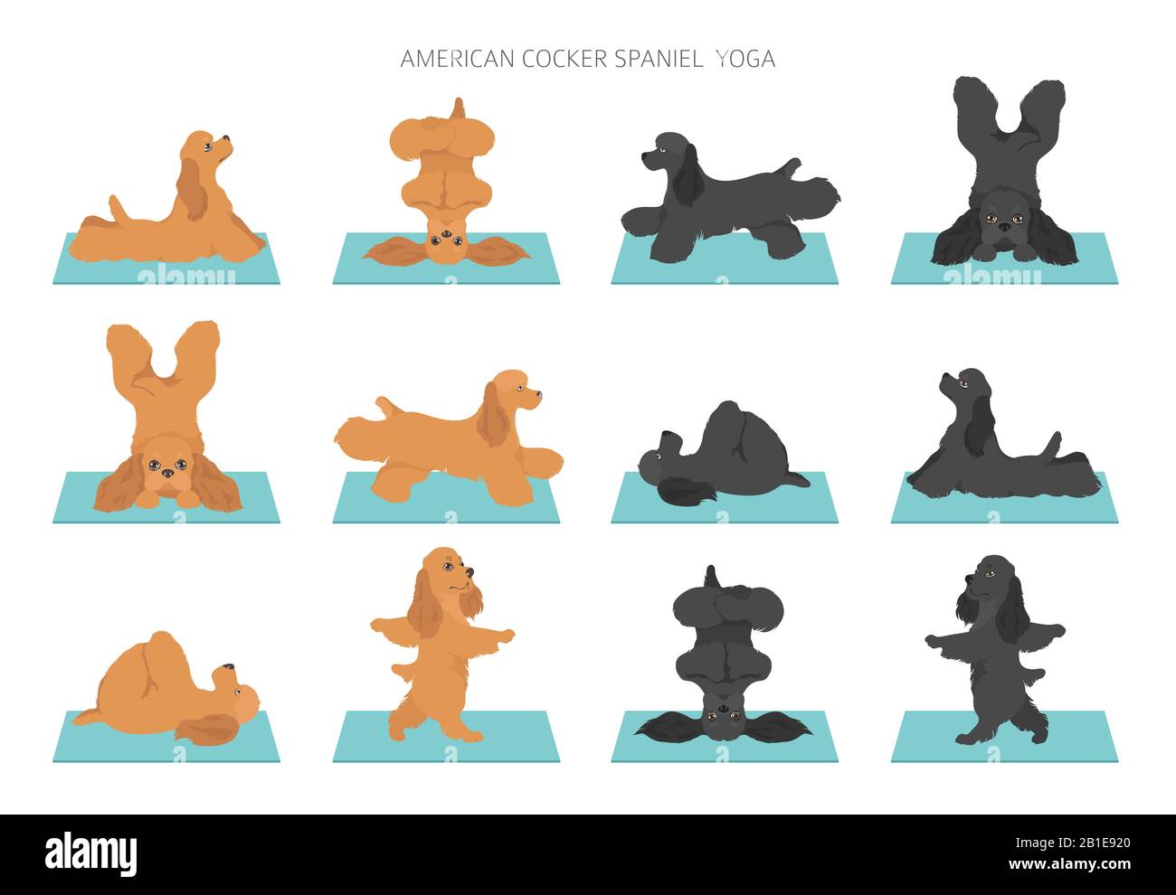 Yoga dogs poses and exercises poster design. American cocker spaniel ...