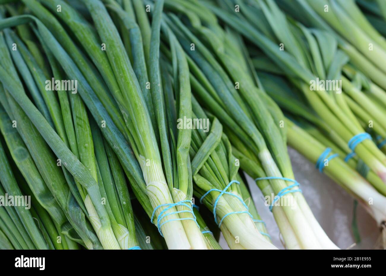 Young onions on the market. Green onion leaves on the market Stock ...
