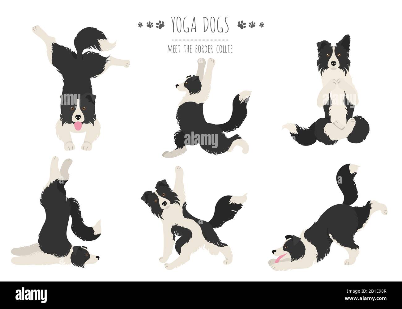 Yoga dogs poses and exercises poster design. Border collie clipart ...