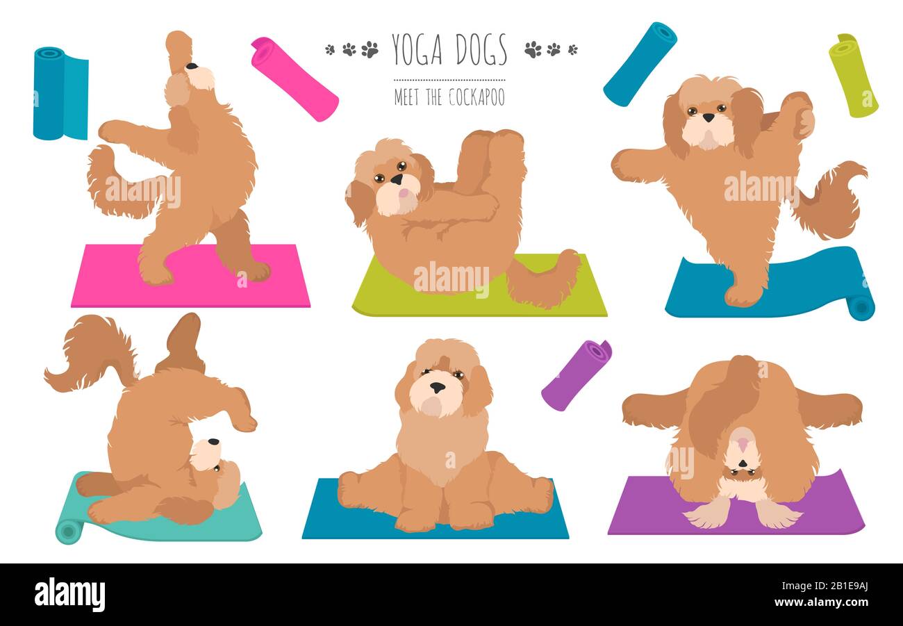 Mixed breed black dogs Stock Vector Images - Alamy