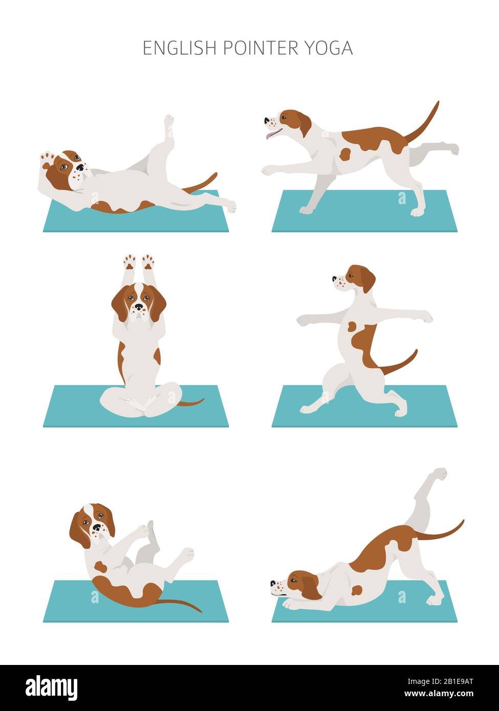 Yoga dogs poses and exercises poster design. English pointer clipart ...
