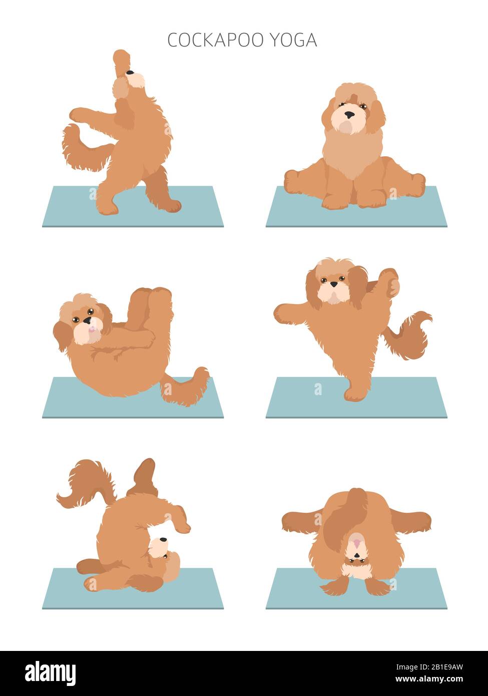 Yoga dogs poses and exercises poster design. Cockapoo clipart. Vector ...