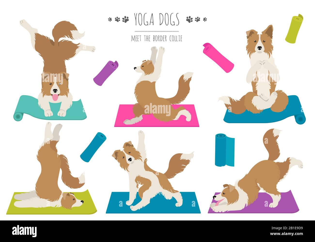 Yoga dogs poses and exercises poster design. Border collie clipart ...