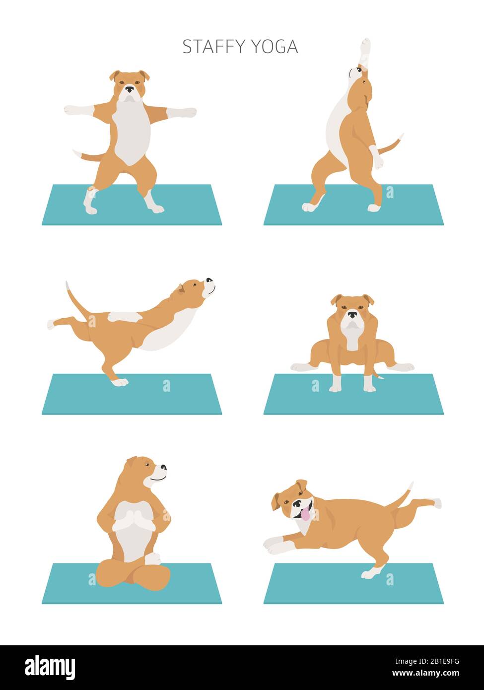Yoga dogs poses and exercises poster design. Staffordshire bull terrier ...
