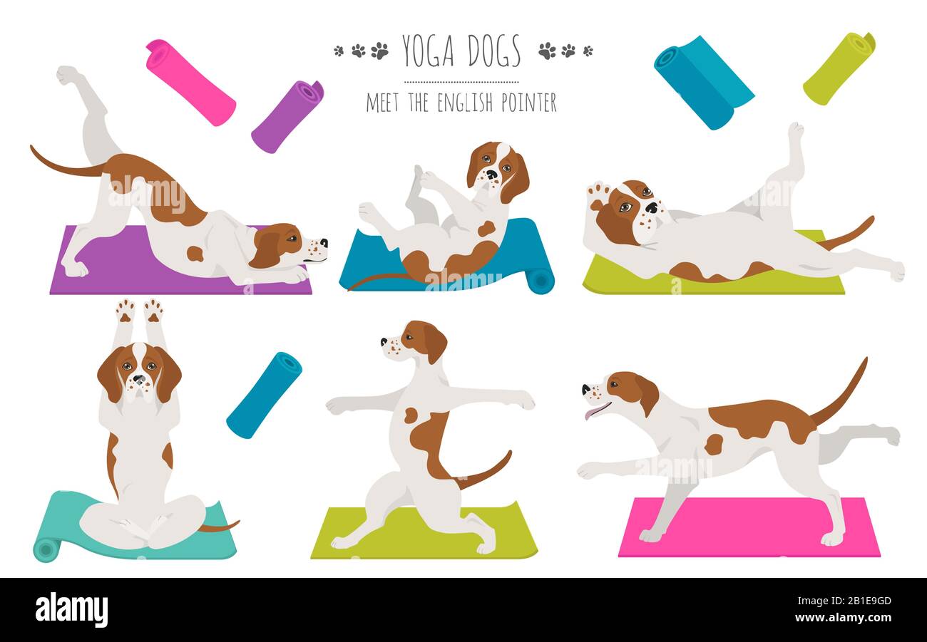 Yoga dogs poses and exercises poster design. English pointer clipart ...