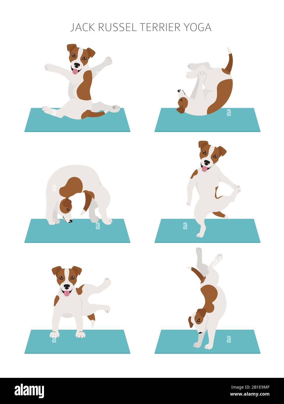 Yoga dogs poses and exercises poster design. Jack Russel terrier ...