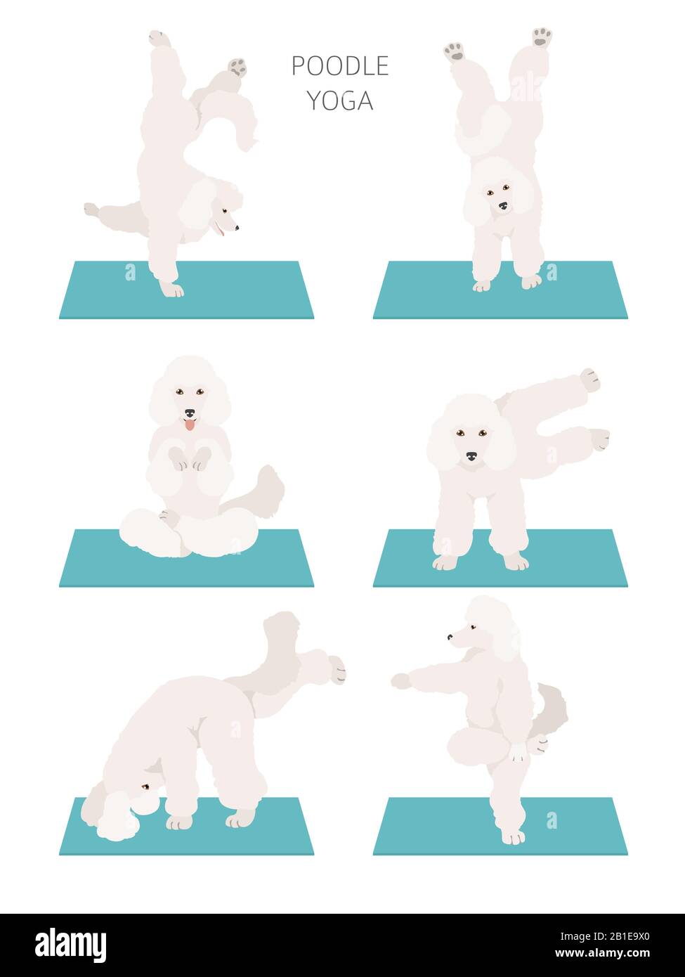 Yoga dogs poses and exercises poster design. Poodle clipart. Vector ...