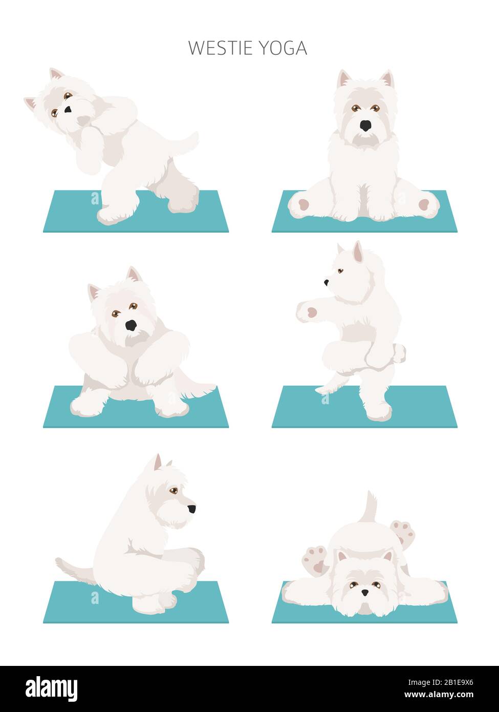 Yoga dogs poses and exercises poster design. West Highland White ...