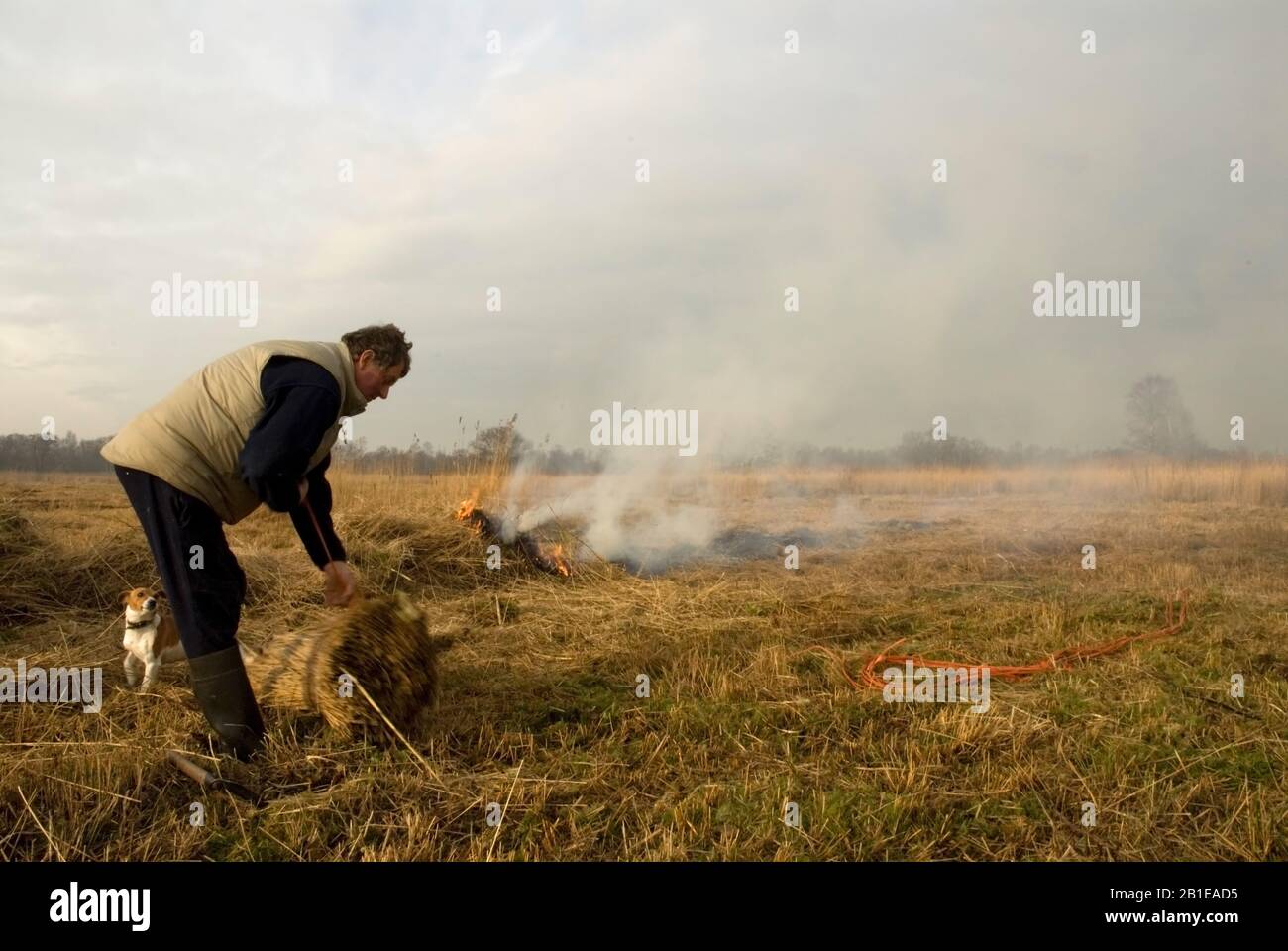 Reed cutter hi-res stock photography and images - Alamy