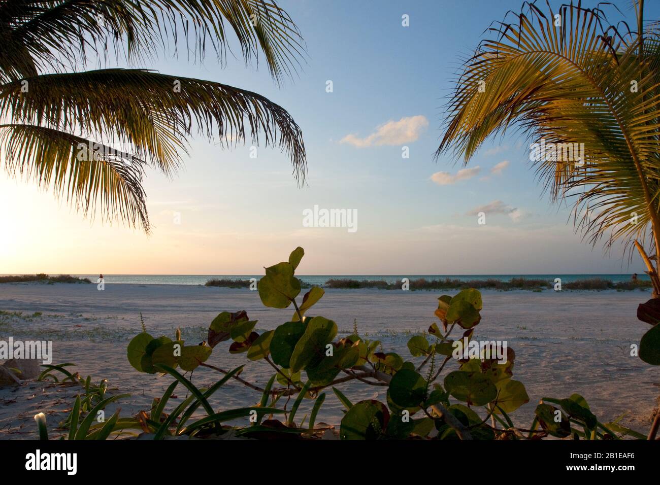 Yucatan mexico sunset hi-res stock photography and images - Alamy