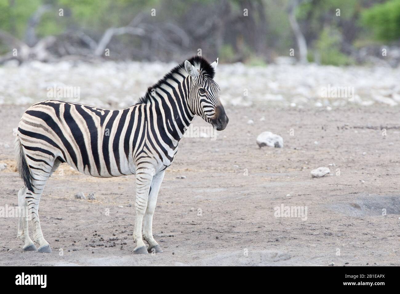 Full length odd hi-res stock photography and images - Alamy