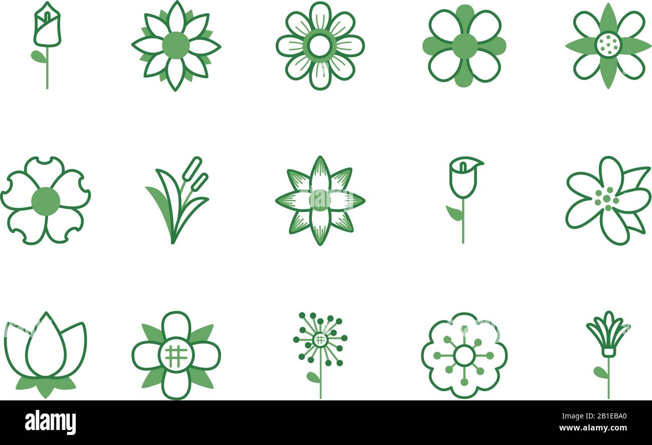 bundle of flowers half color style icons Stock Vector Image & Art - Alamy