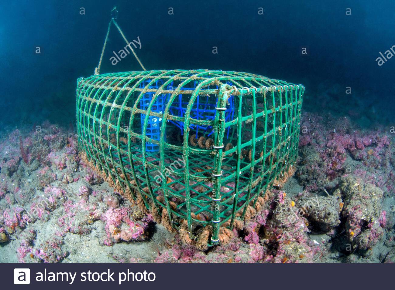 Submarine Nets High Resolution Stock Photography and Images - Alamy