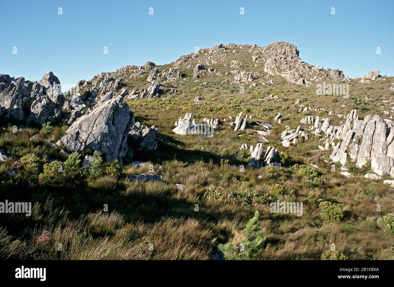mountain landscape at the Sir Lowrys Pass, South Africa Stock Photo - Alamy