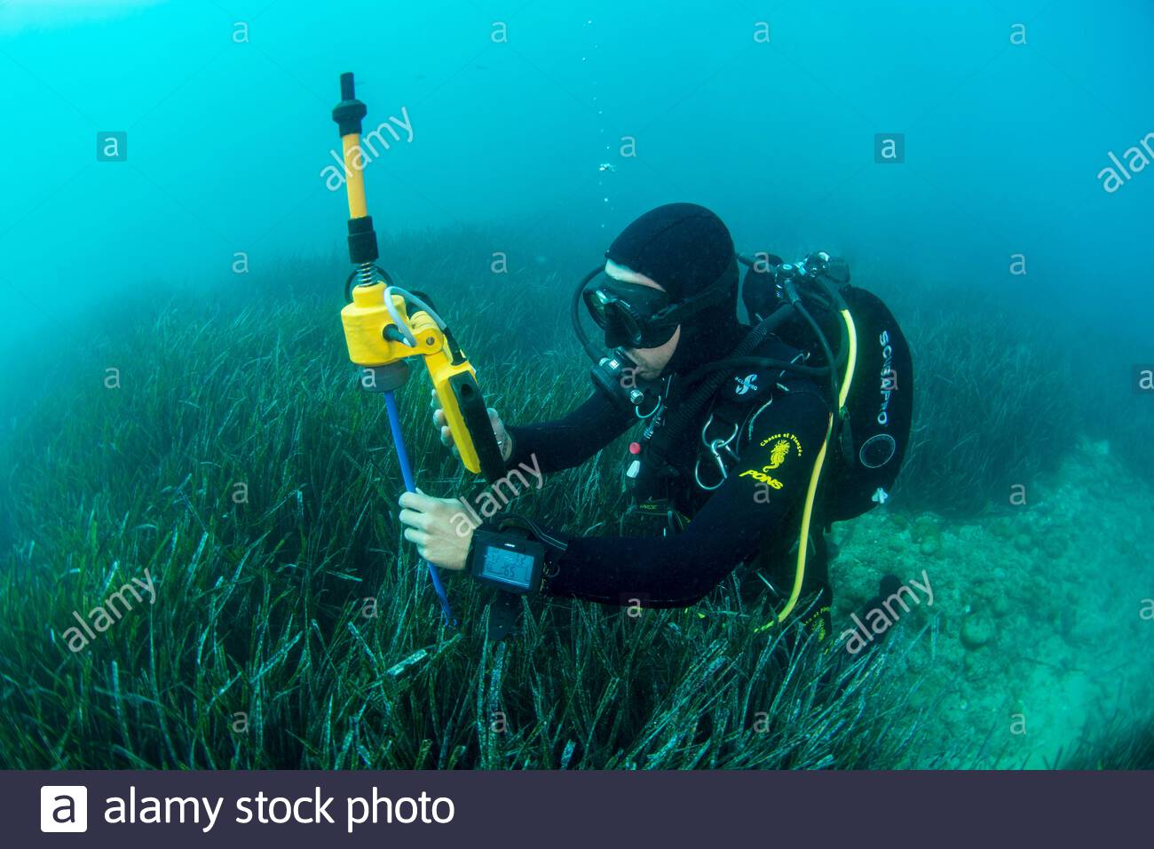 Marine Biologist High Resolution Stock Photography and Images - Alamy