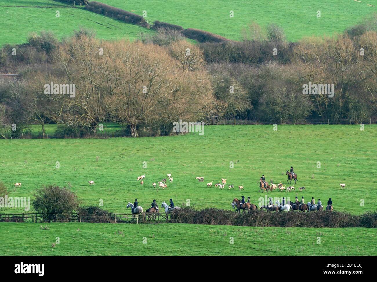 Group horses hedge hunt hi-res stock photography and images - Alamy