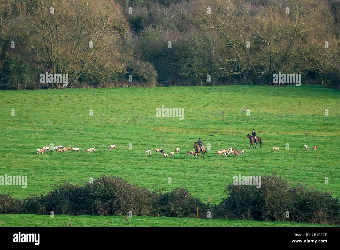Bicester hunt trail hunting, Oxfordshire, England Stock Photo - Alamy