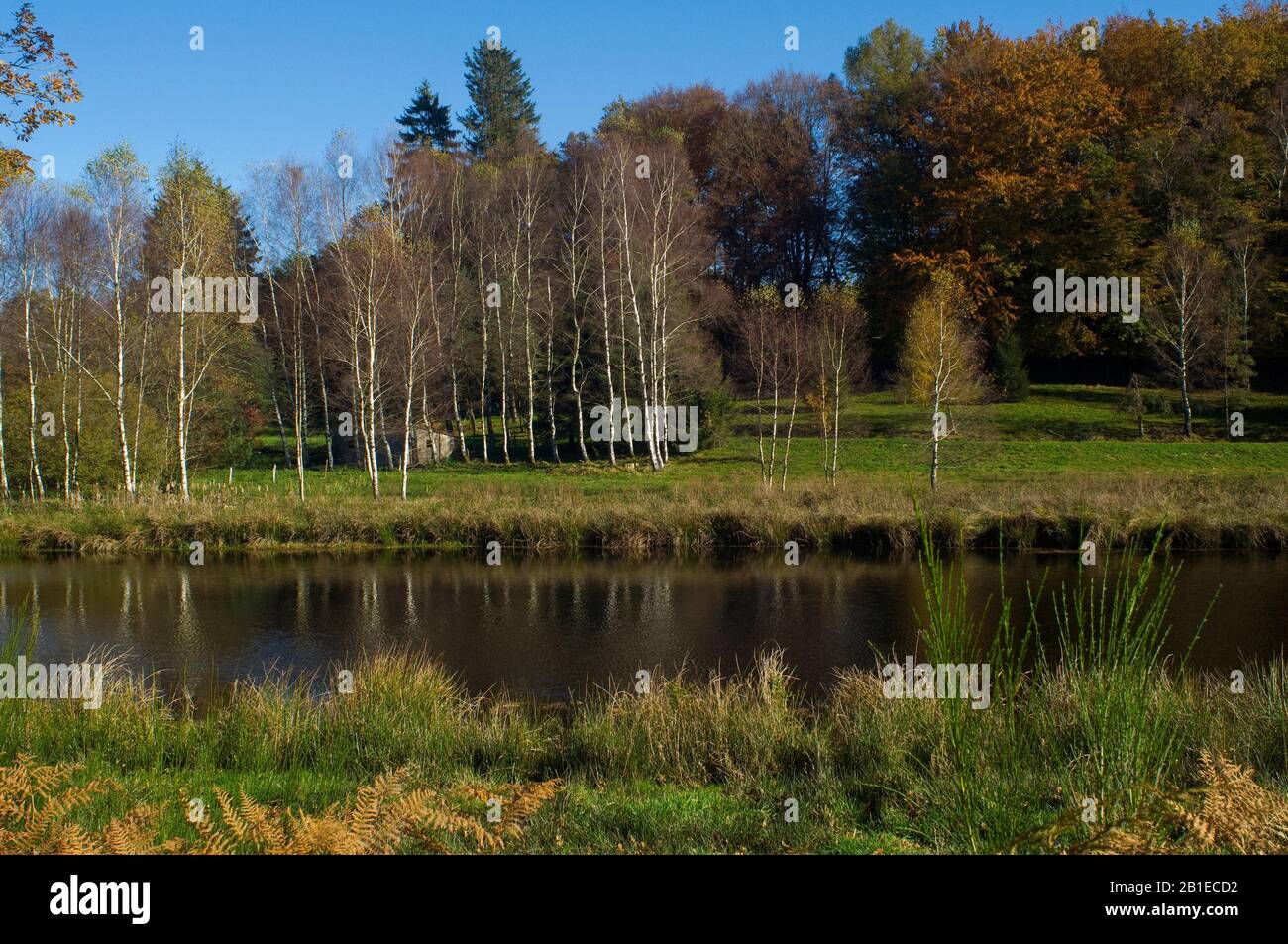 Morvan mountain range hi-res stock photography and images - Alamy