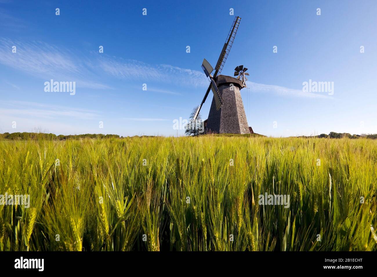 Wind mill flour hi-res stock photography and images - Alamy