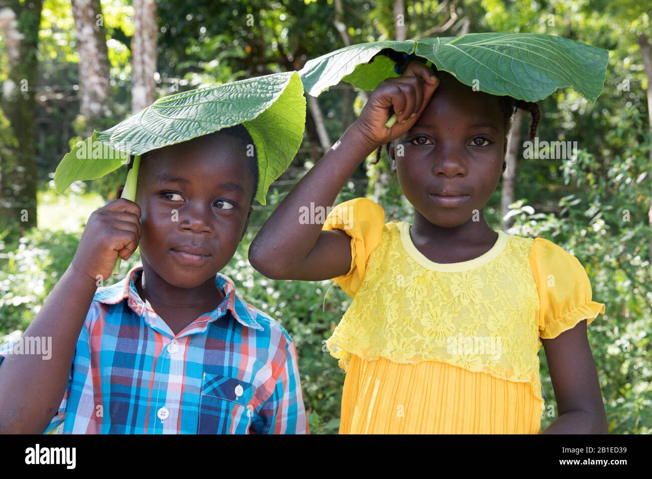 Children playing with leaves, Dominican Republic Stock Photo - Alamy
