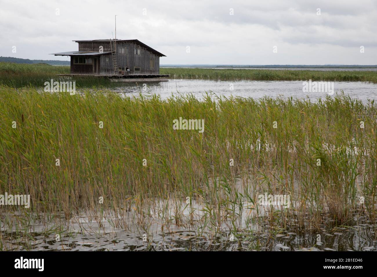 Lake Engure Nature Park, Latvia Stock Photo - Alamy