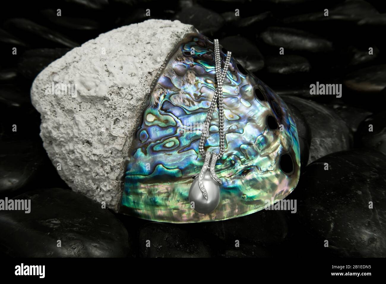 White Gold Pendant With Tahitian Pearl On Rainbow Lip Pearl Oyster ...