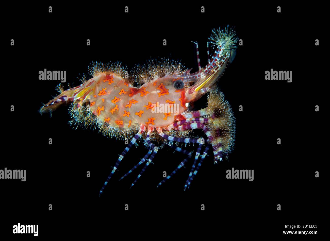 Night at sea side hi-res stock photography and images - Alamy