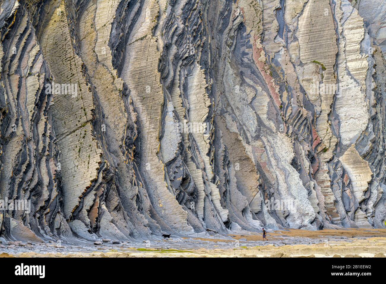 Remarkable flysch formations of Deba, Basque Coast Geopark, Basque ...