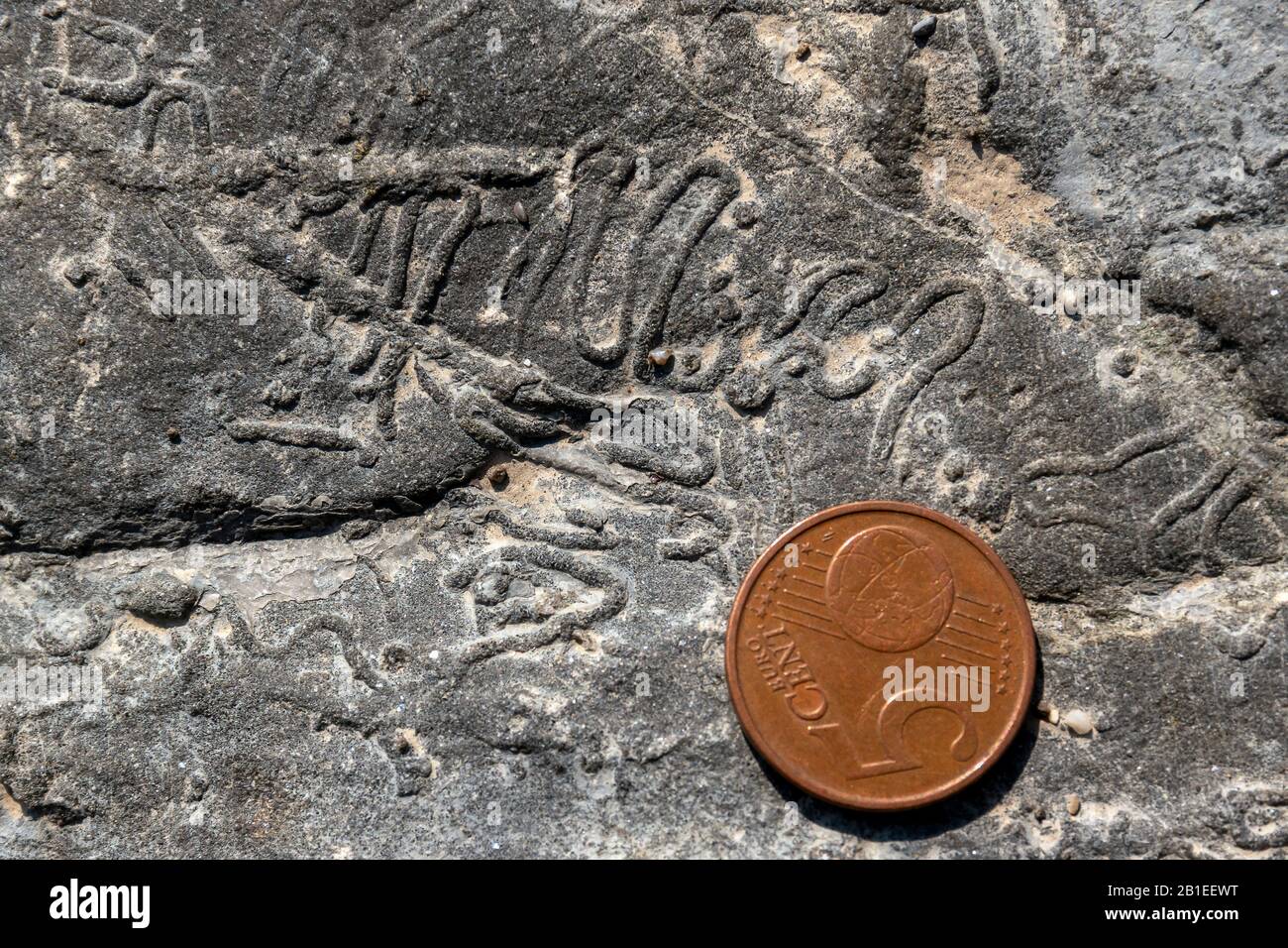 Ichnofossils on flysch Deba, Geopark of the Basque Coast, Basque ...