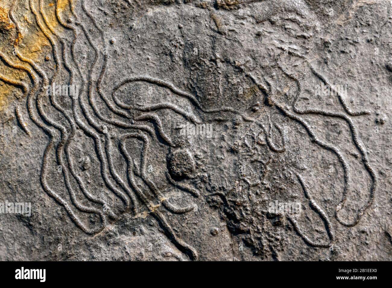 Mesozoic sedimentary rocks hi-res stock photography and images - Alamy