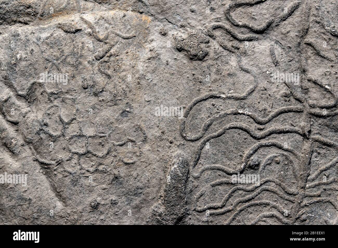 Flysch sediment hi-res stock photography and images - Alamy