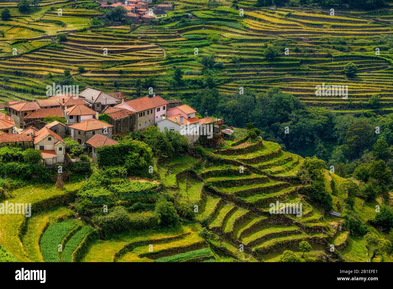 Terraced Crops in the Sistelo Region, Peneda-Gerês National Park ...