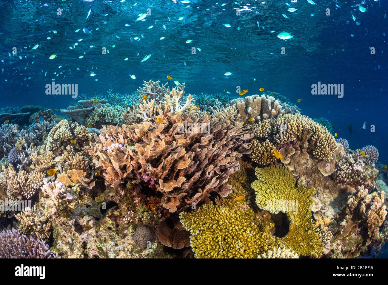 Overview photo hi-res stock photography and images - Alamy