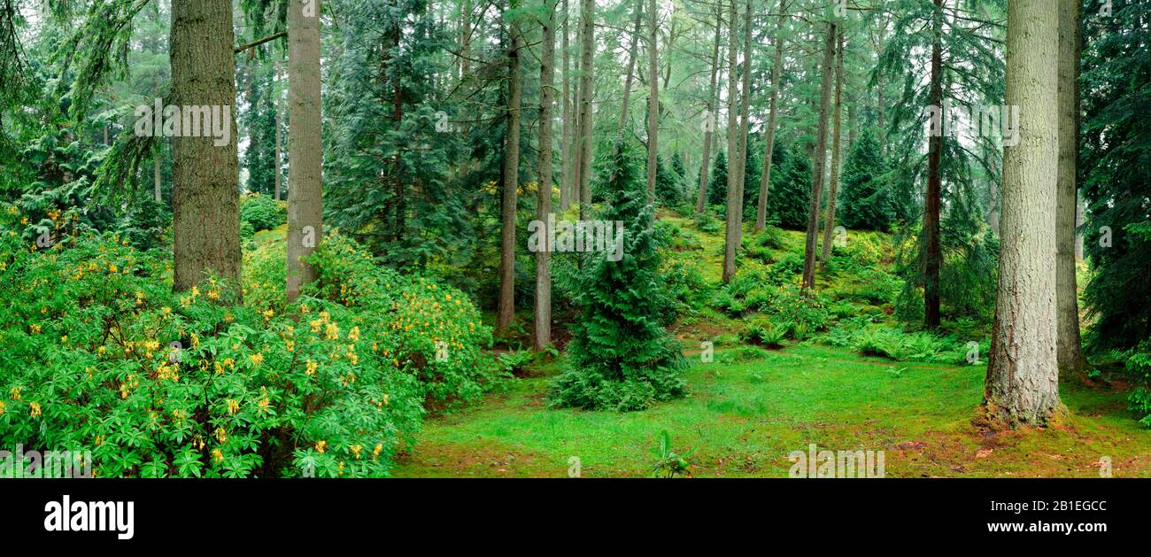 Benmore Park, Scotland Stock Photo - Alamy