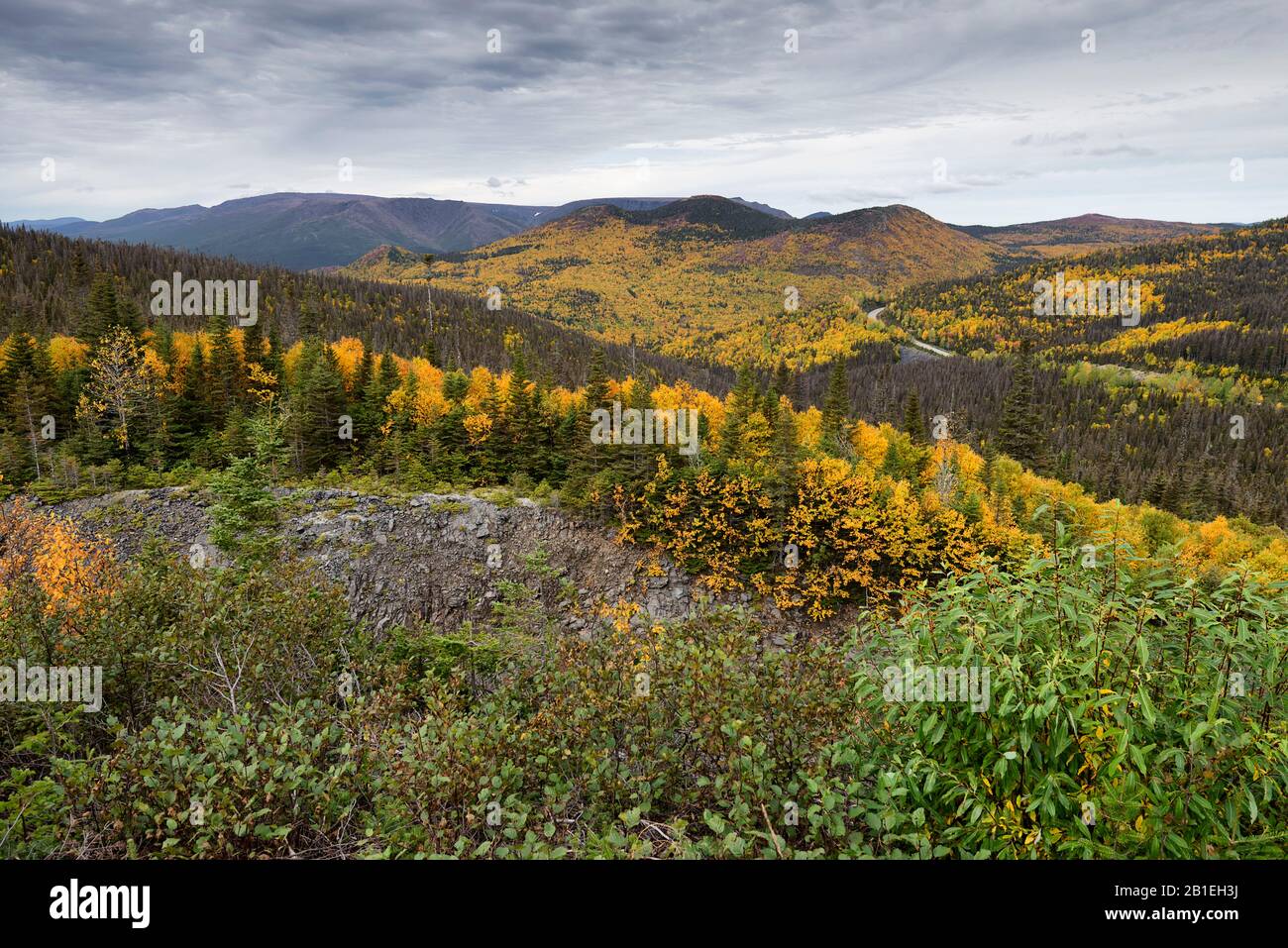 Mont Albert and colors of the Summer of the Amerindians, Haute-Gaspesie ...