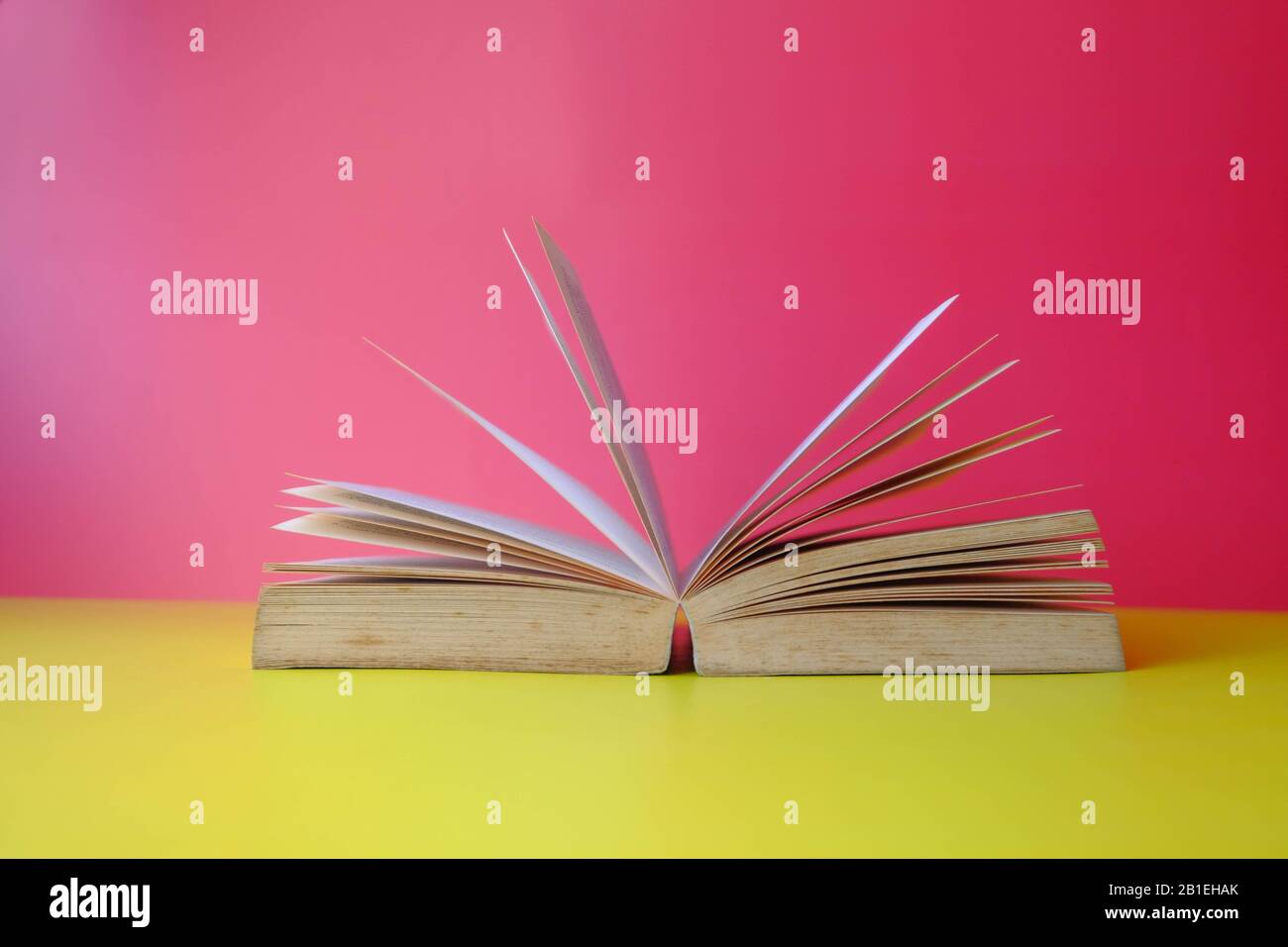 Close up of open book on color background Stock Photo - Alamy