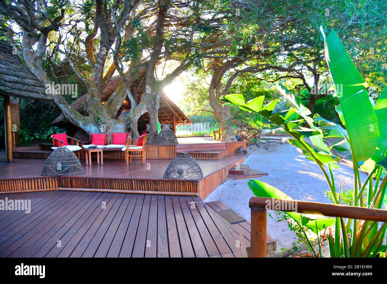 National tree of st lucia hi-res stock photography and images - Alamy