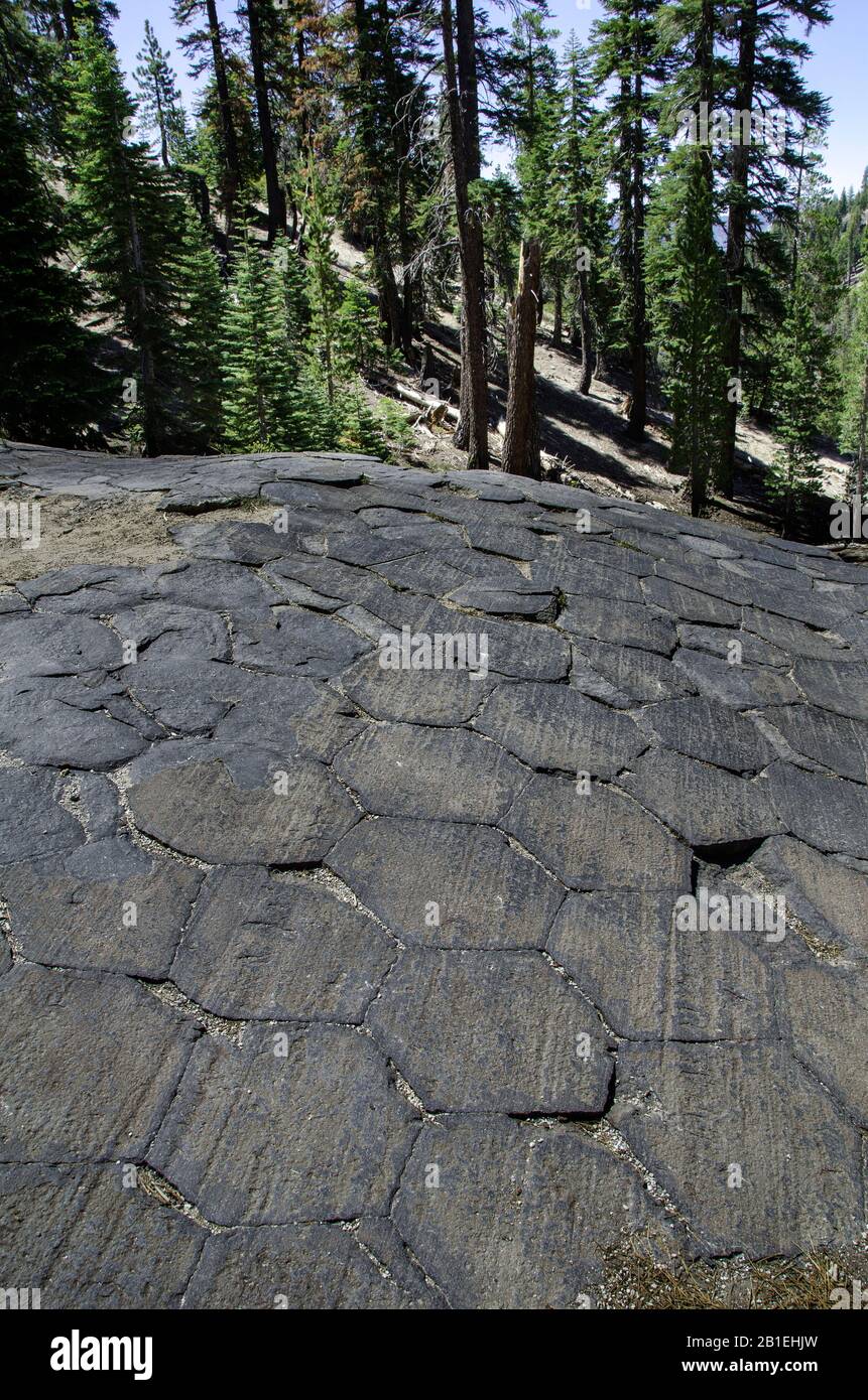 Glacier-polished columnar basalt viewed from above, Devils Postpile ...