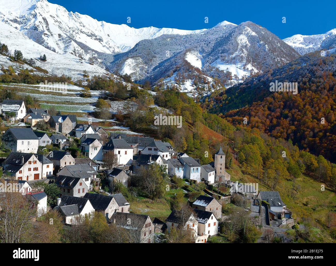 Aydius under the snow in autumn, biotope of the brown bear, Aspe Valley ...