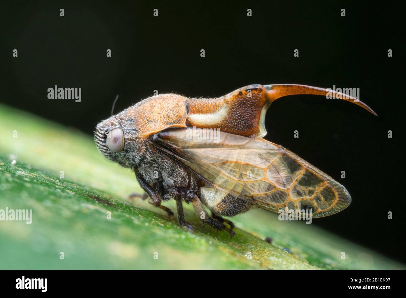 Outlier background hi-res stock photography and images - Alamy