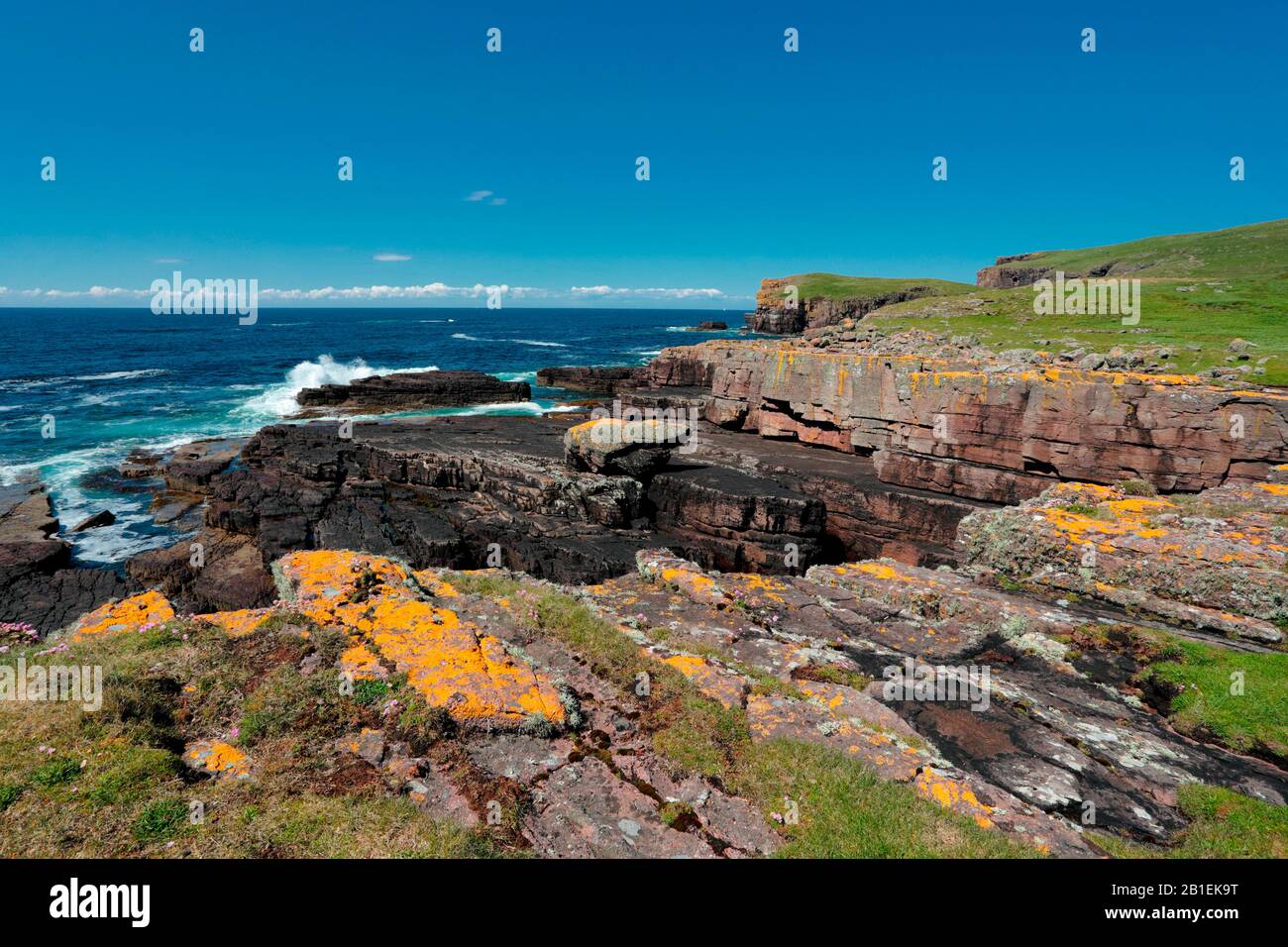 Isle of Handa, Scotland Stock Photo - Alamy